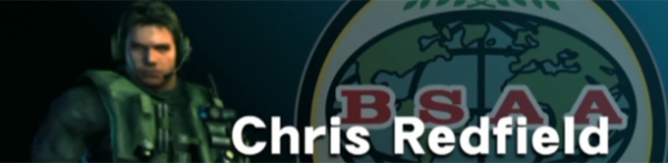 Jessica's Report - REVIL