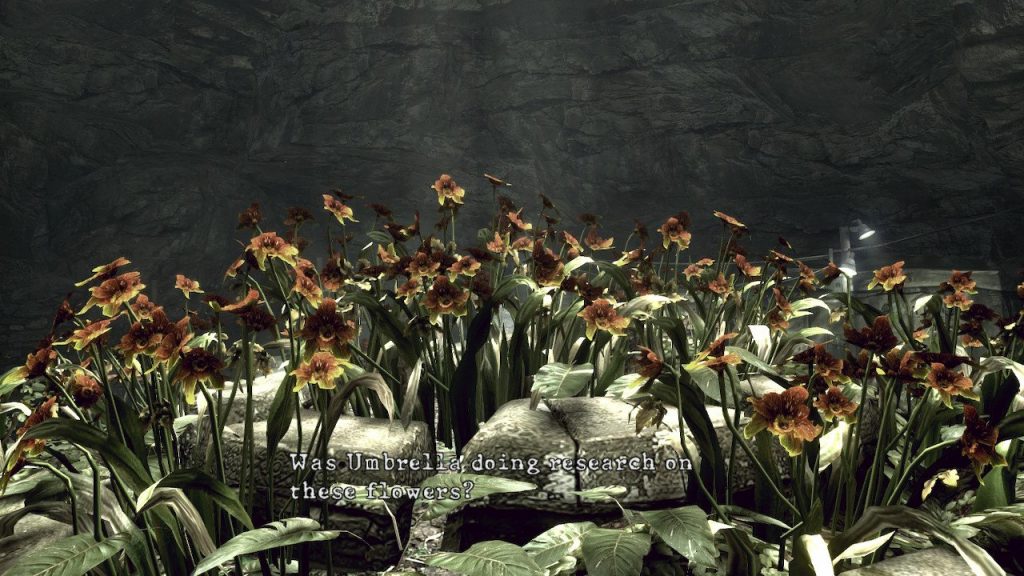 Resident Evil 5 Nintendo Switch Sonnentreppe Flower - REVIL